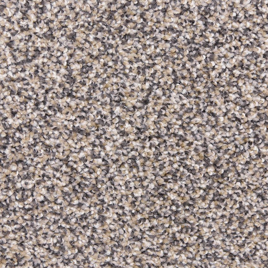 Star Power Carpet Flooring | Dixie Home